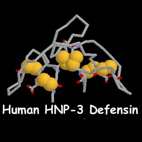 Structure of Defensins