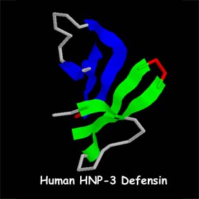 Structure of Defensins