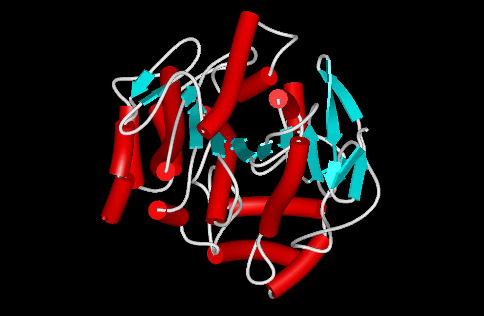 Basic enzyme