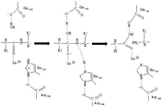 Welcome to GoLive CyberStudio 3